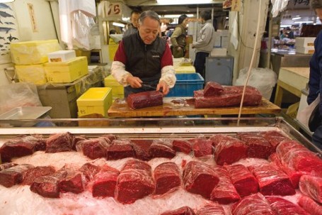 Jepang Diam-diam Impor 2.000 Ton Daging Ikan Paus dari Islandia