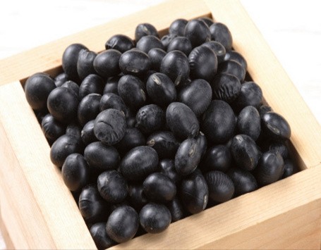 Sejak Ratusan Tahun Kedelai Hitam Populer sebagai Pengendali Berat Badan