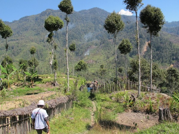 Sugapa, Desa Mahal di Papua yang Indah