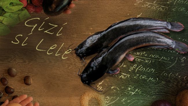 Fokus - Lele, Si 'Jorok' yang Kaya Nutrisi