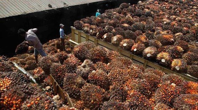 Media Malaysia Sorot Kejagung RI Periksa Maybank soal Salim Ivomas