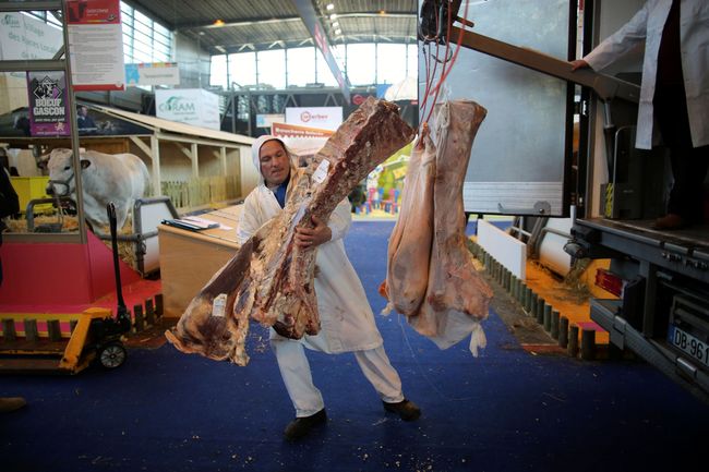 Daging Impor India 'Guyur' RI, Harga Daging Sapi Turun Nih?