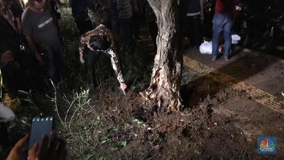 Diduga Petasan, Ini Penampakan Pohon yang Kena Ledakan