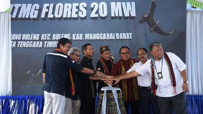 Tak Lagi Pakai Solar, Flores Kini Punya Pembangkit Gas 20 MW