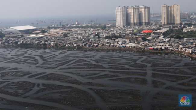 Lihatlah, Seperti Ini Penampakan Terbaru Waduk Pluit - Foto 5