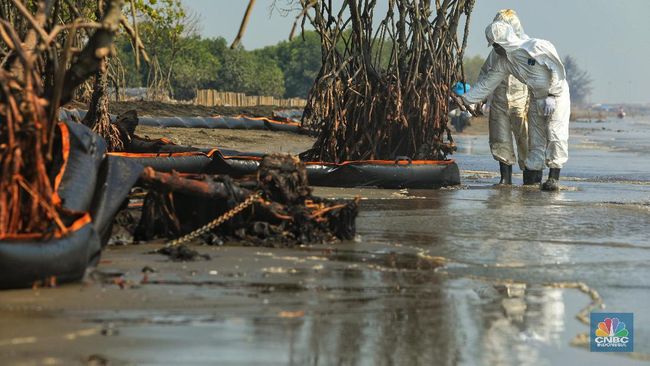 Ini Penampakan Oil Boom yang Halau Tumpahan Minyak Karawang - Foto 1