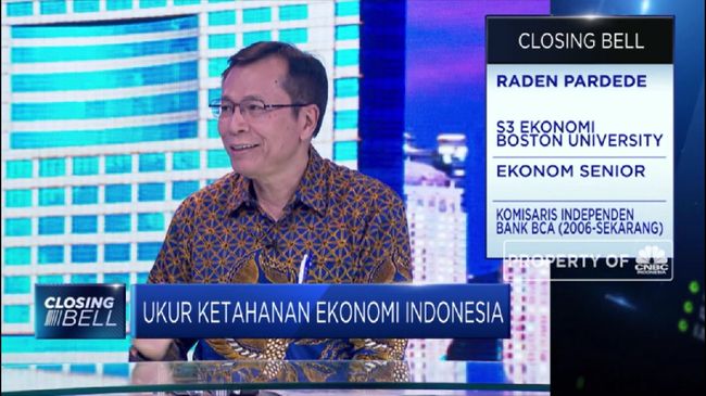 Raden Pardede : Laju PDB Dipangkas 5%, Indonesia Belum Resesi
