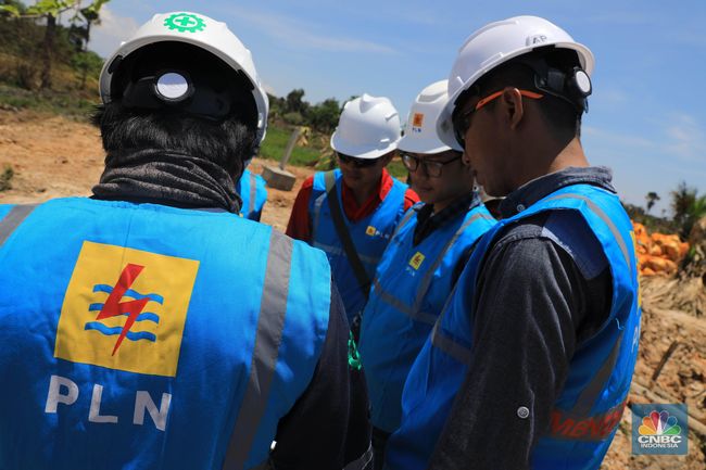 Melihat Pembangunan Tower di Taman Nasional Rawa Aopa - Foto 2