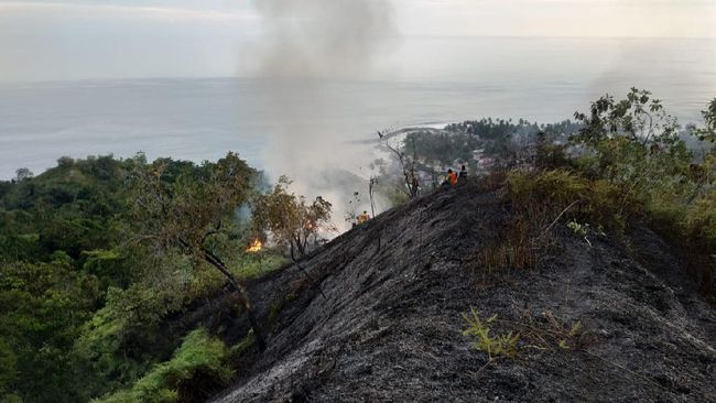 Termasuk Efek Puntung Rokok, Karhutla Mulai Terjadi di Aceh