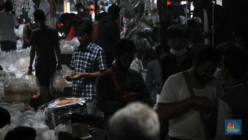 Duh! Pengunjung Pasar Ikan Hias di Bogor Abaikan Jaga Jarak Duh! Pengunjung Pasar Ikan Hias di Bogor Abaikan Jaga Jarak