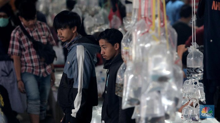 Duh! Pengunjung Pasar Ikan Hias di Bogor Abaikan Jaga Jarak Duh! Pengunjung Pasar Ikan Hias di Bogor Abaikan Jaga Jarak