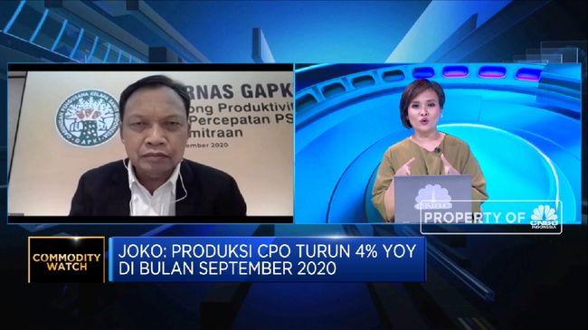 Gapki: Ekspor CPO ke AS Masih Berpeluang Naik di Masa Biden