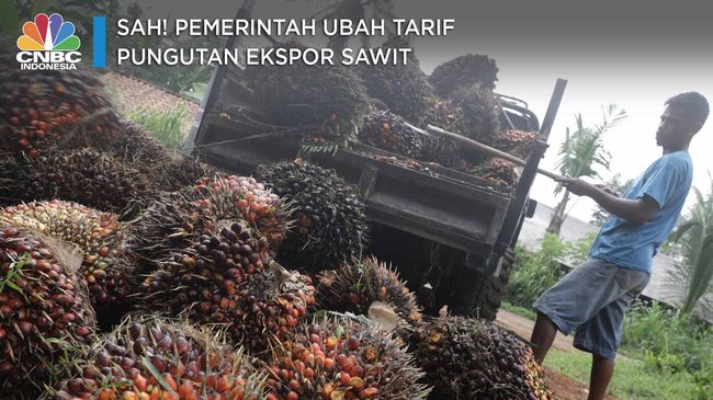 Sah! Pemerintah Ubah Tarif Pungutan Ekspor Sawit