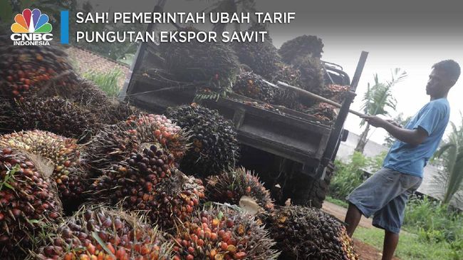 Sah! Pemerintah Ubah Tarif Pungutan Ekspor Sawit