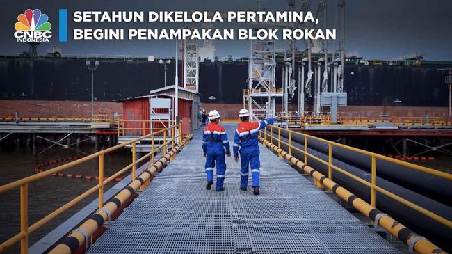 Setahun Dikelola Pertamina, Begini Penampakan Blok Rokan