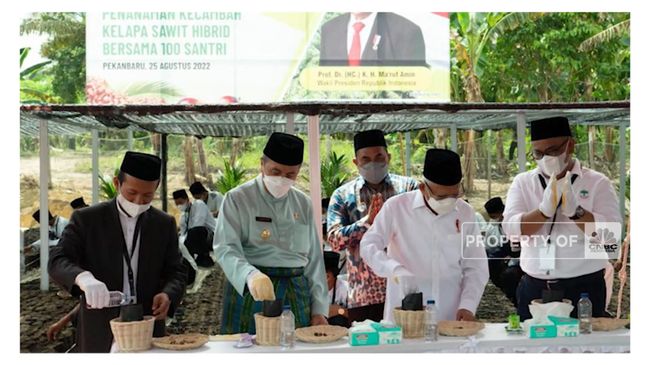 Wapres Tanam Bibit Sawit, Bersama Para Santri