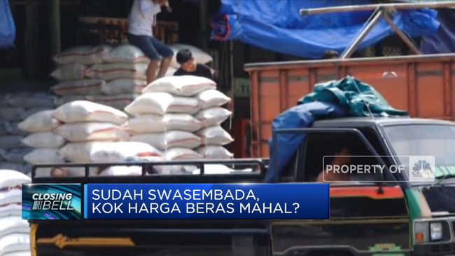 Sudah Swasembada, Kok Harga Beras Mahal? Sudah Swasembada, Kok Harga Beras Mahal?