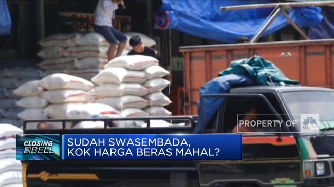 Sudah Swasembada, Kok Harga Beras Mahal? Sudah Swasembada, Kok Harga Beras Mahal?