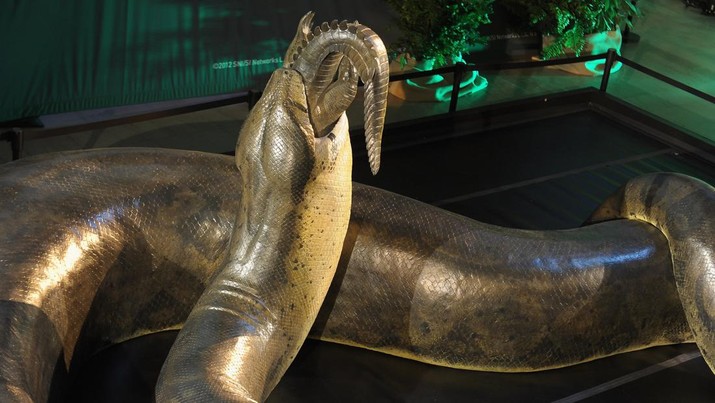 Apa Sih Yang Bikin Ular Titanoboa Bisa Tumbuh Sangat Besar?