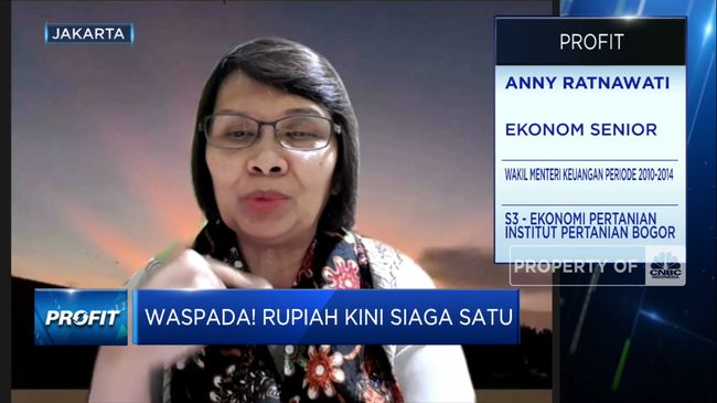 Ekonom Senior Ungkap Kunci Hadapi Pelemahan Rupiah, Apa Saja? Ekonom Senior Ungkap Kunci Hadapi Pelemahan Rupiah, Apa Saja?
