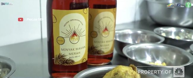 Janji Kemenkop UKM, Minyak Makan Merah Untungkan Petani Sawit