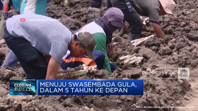 Menuju Swasembada Gula, Dalam 5 Tahun Ke Depan