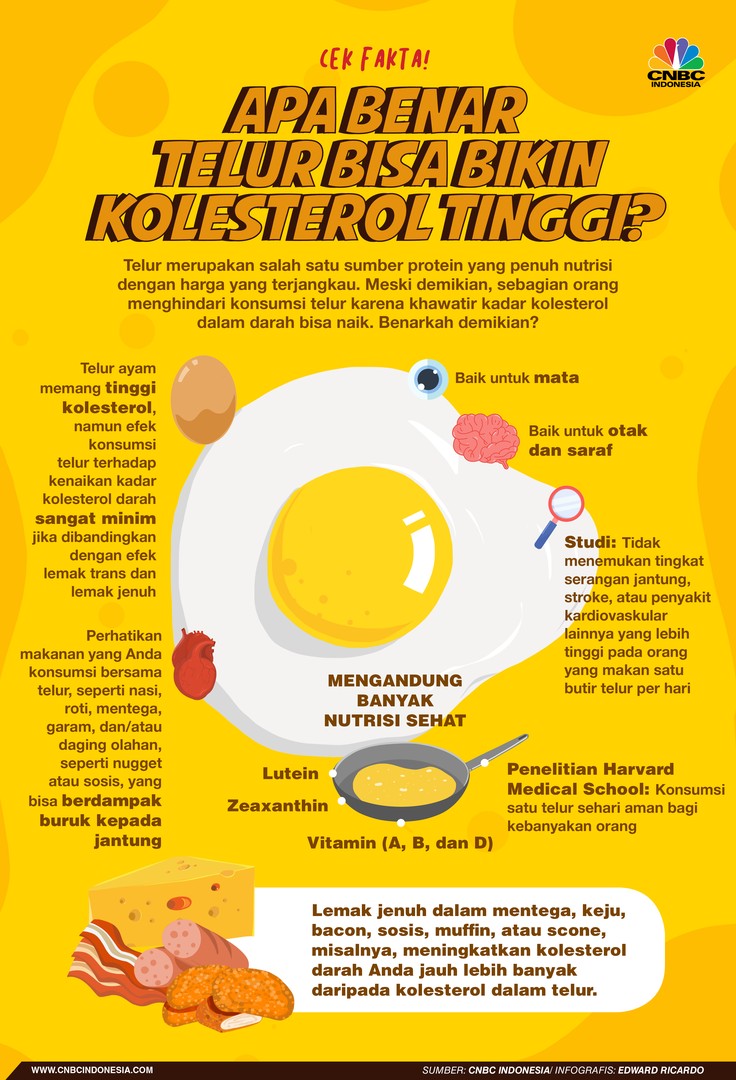 Cek Fakta, Apa Benar Telur Bisa Bikin Kolesterol Tinggi? Cek Fakta, Apa Benar Telur Bisa Bikin Kolesterol Tinggi?