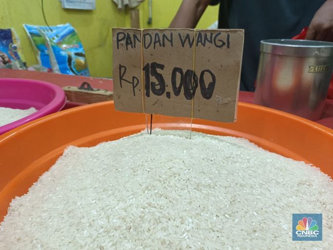 Harga Beras Mulai Usik Orang Kaya, 1 Karung Nyaris Rp 1 Juta
