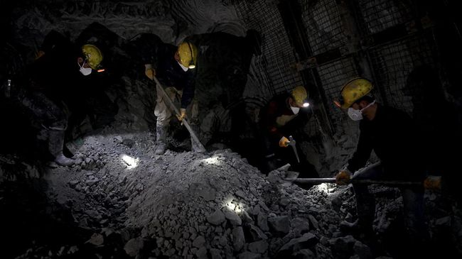 Harga Batu Bara Ambruk 50% YTD, Saham Emiten RI Masih Ngacir!