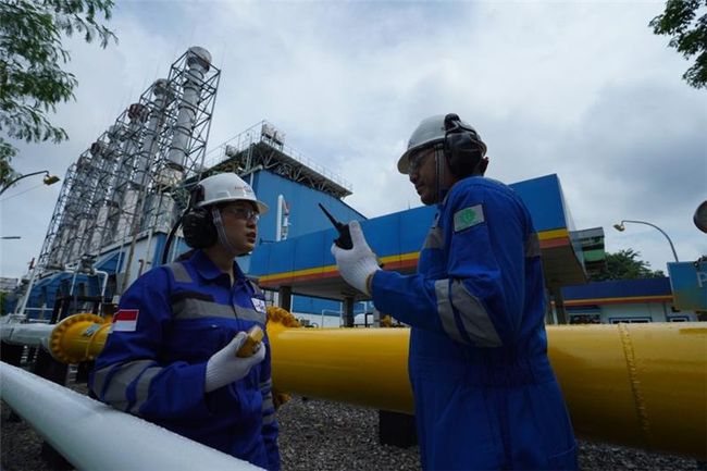 Cek Gurita Bisnis Happy Hapsoro, Properti hingga Migas