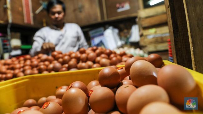 Harga Telur Ayam Terbang Tembus Rp37.000, Ini Biang Keroknya