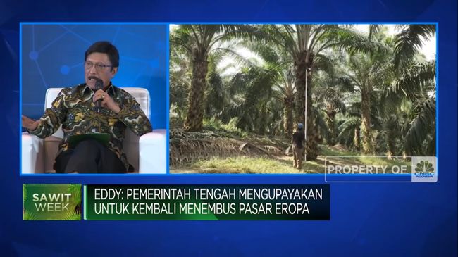 Tantangan Sawit RI, Dijegal UE Hingga Harmonisasi Kebijakan