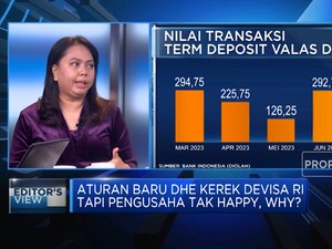 Jokowi Ngotot Tahan DHE Bikin Pengusaha Tak Happy, Kenapa Ya?