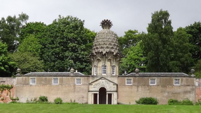 Saat Nanas Jadi Simbol Kekayaan, Nilainya Setara Tas Gucci!