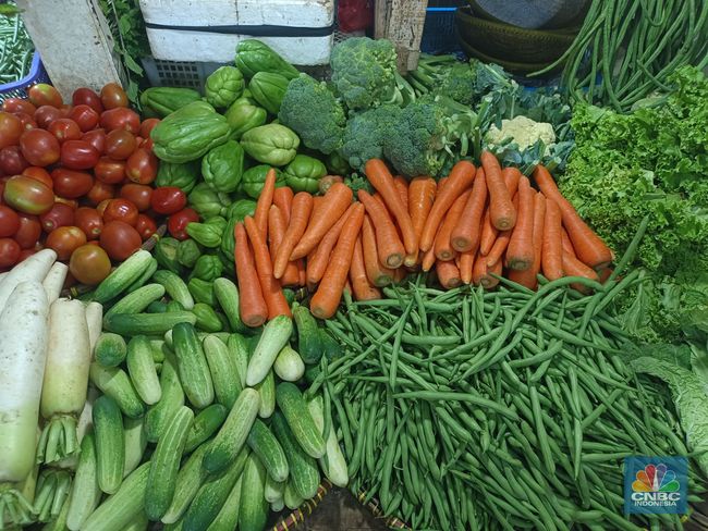 Daftar Sayuran yang Paling Banyak Terkontaminasi Mikroplastik