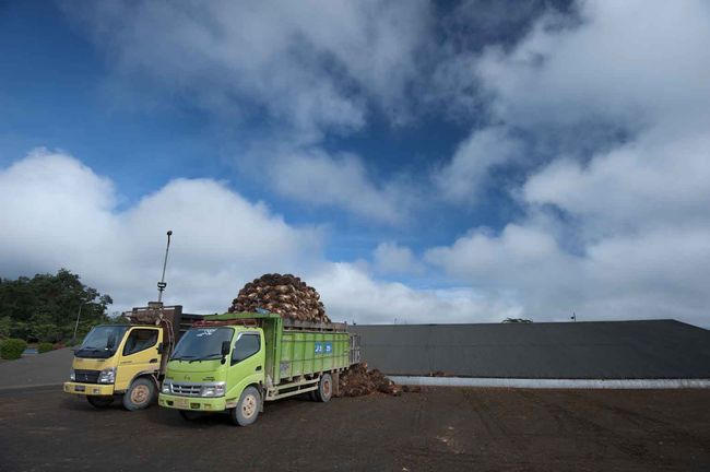 Dharma Satya Nusantara (DSNG) Cetak Laba Rp 229 M di Kuartal-I 2024