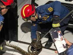 Infografis: 5 Bentuk Pelecehan Seks Paling Sering Terjadi di Tempat Umum