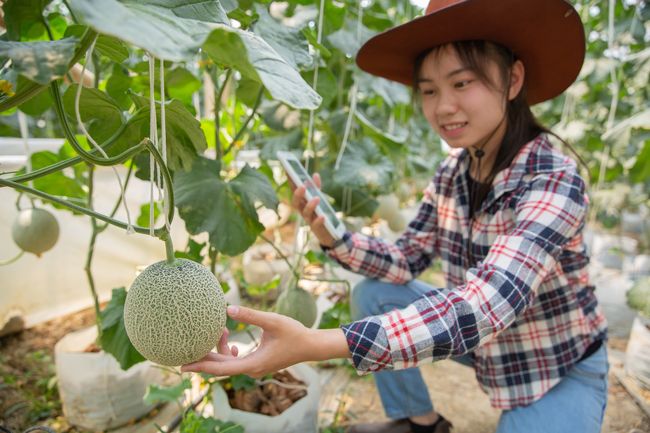 Bukan Cuma RI! Gen Z China Stres Usai Badai PHK, Pilih Pulang Kampung
