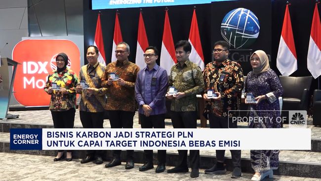 Bisnis Karbon Jadi Strategi PLN Capai Target Indonesia Bebas Emisi