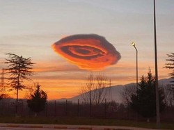 8 Foto Alex Mucci, Model Kontroversial yang Topless di Tempat Bersejarah