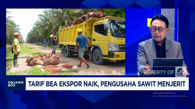 Video: Ekspor Sawit RI Terancam Perang India & Kenaikan Bea Ekspor