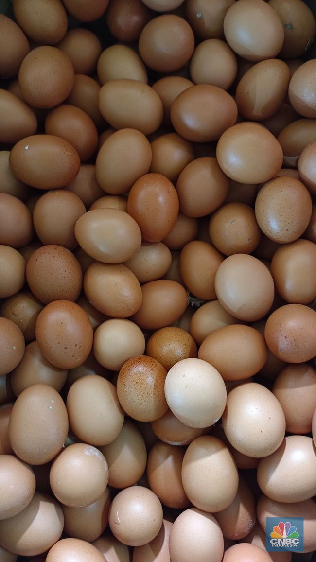 Ini yang Terjadi di Tubuh Saat Sarapan Telur Rebus vs Nasi Uduk/Bubur