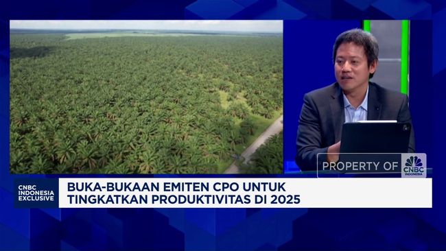 Video: Permintaan CPO Naik, Industri Sawit Fokus Genjot Produksi