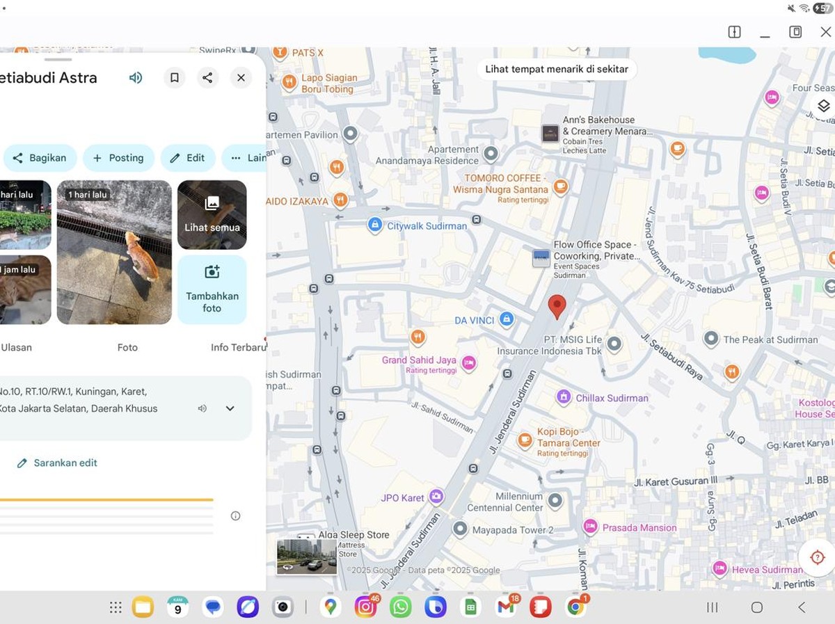 Artikel - Kucing Oren Viral di MRT Setiabudi, Bintang 5 di Google Maps ...